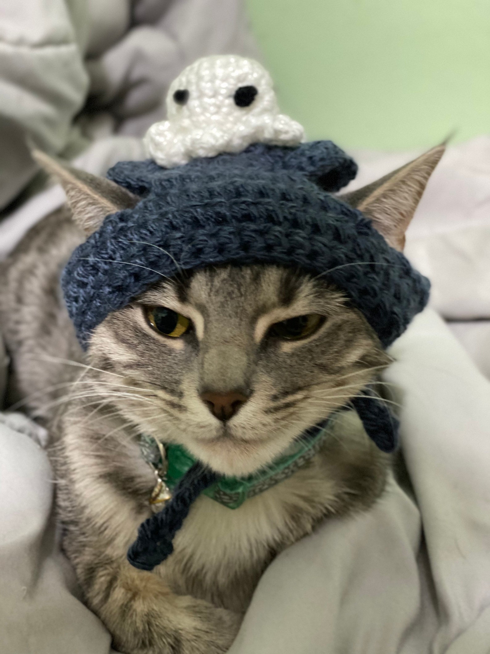 Baby Octopus Cat Hat or Dog Hat - Etsy