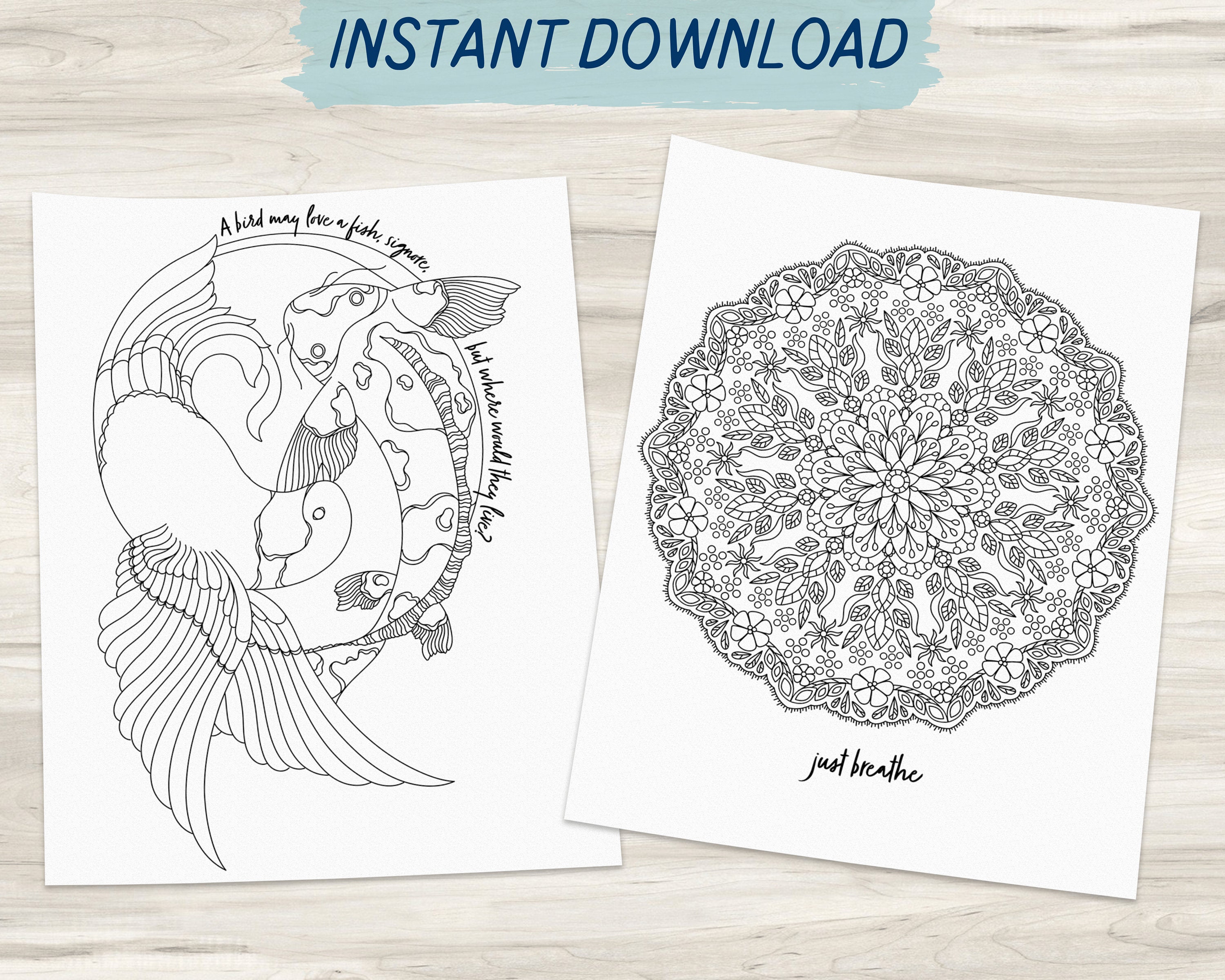 Ever After Inspired Coloring Pages | Movie Coloring Page | Adult ...