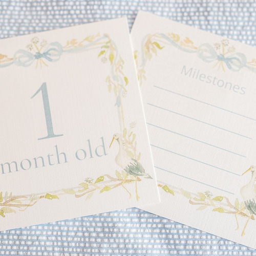 Watercolor Blue Baby Milestone Cards // Month Cards // Baby - Etsy