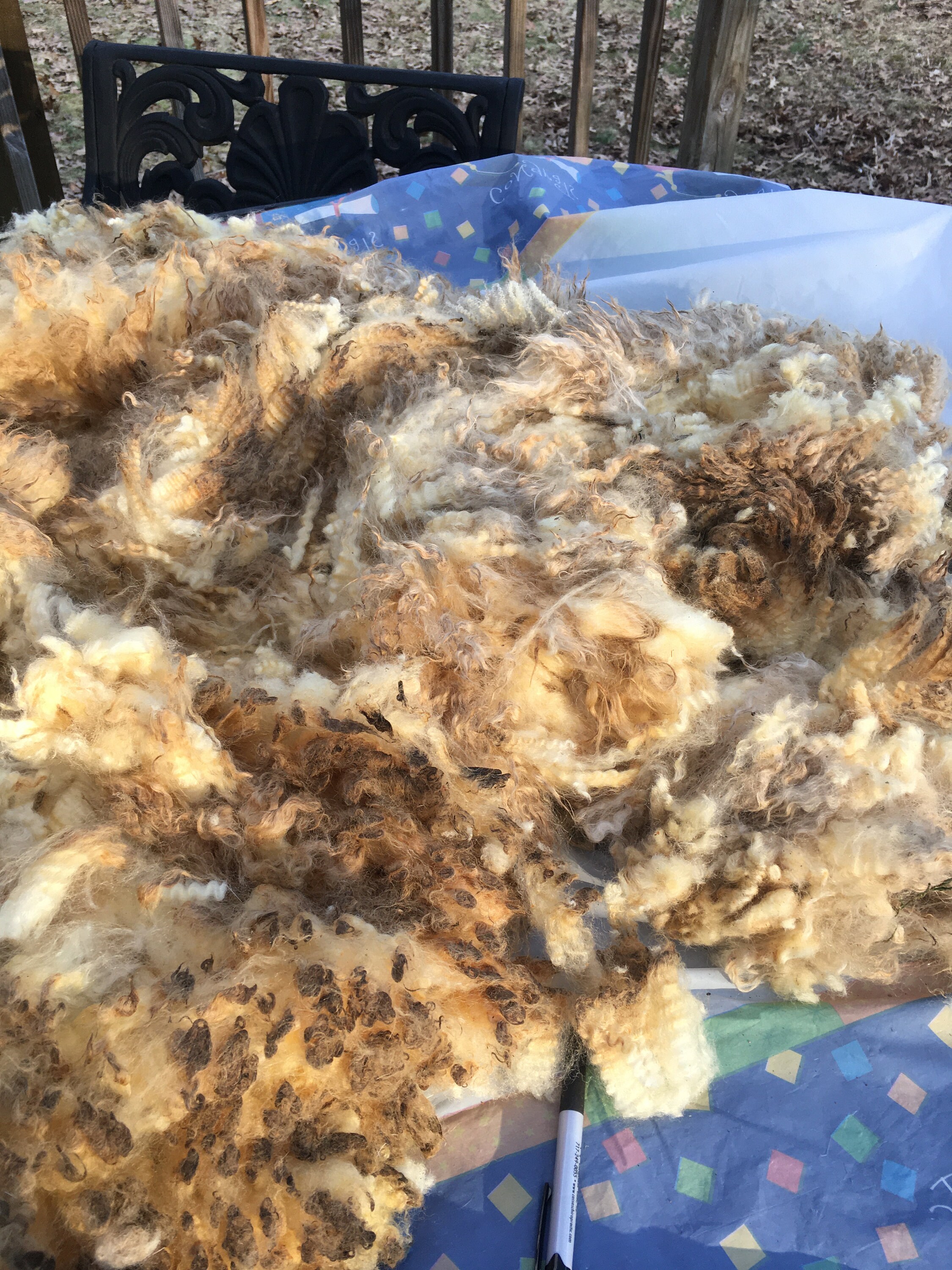 Crimped Navajo Churro Raw Wool . 1 Lbs SE2SE - Etsy