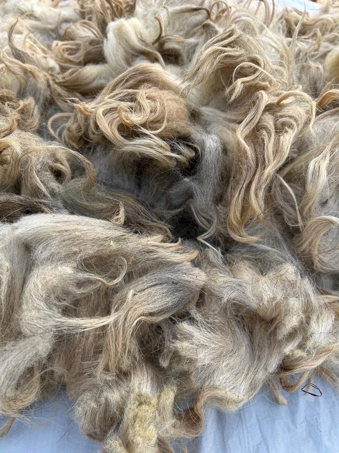 Beautiful Unique Raw Navajo/karakul Fleece - 2 Lbs SE2SE - Etsy