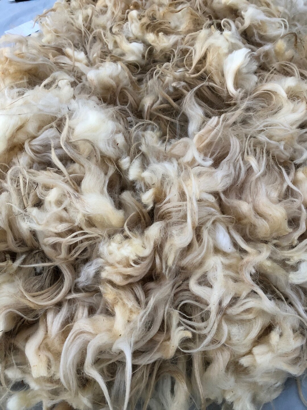 Beautiful Long Raw Karakul Wool 1 Lbs. SE2SE. - Etsy