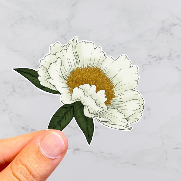 Peony Sticker - Etsy