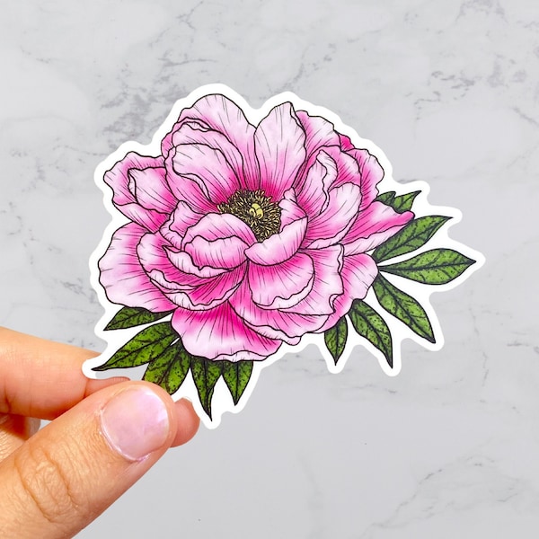 Peony Sticker - Etsy