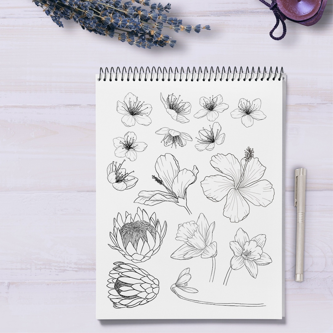 Flower Tracing Guide, Learn to Draw Flowers, Tracing Project, DIGITAL ...