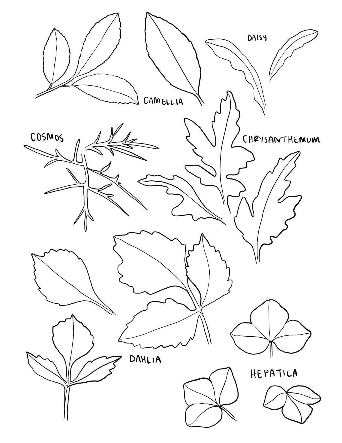 Flower LEAF Tracing Guide Learn to Draw Leaves Tracing - Etsy