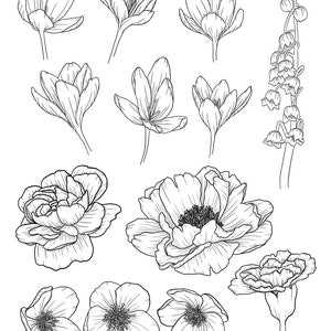 Flower Tracing Guide, Learn to Draw Flowers, Tracing Project, DIGITAL ...