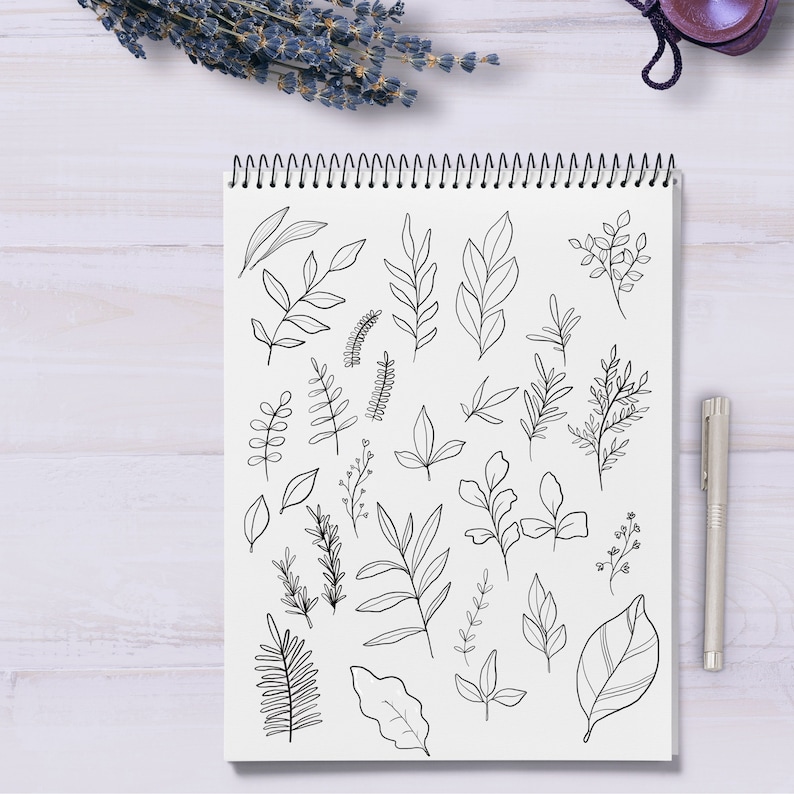 Flower LEAF Tracing Guide Learn to Draw Leaves Tracing - Etsy