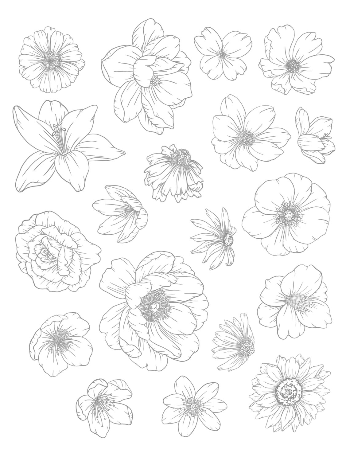 Flower Tracing Guide Learn to Draw Flowers Tracing Project - Etsy