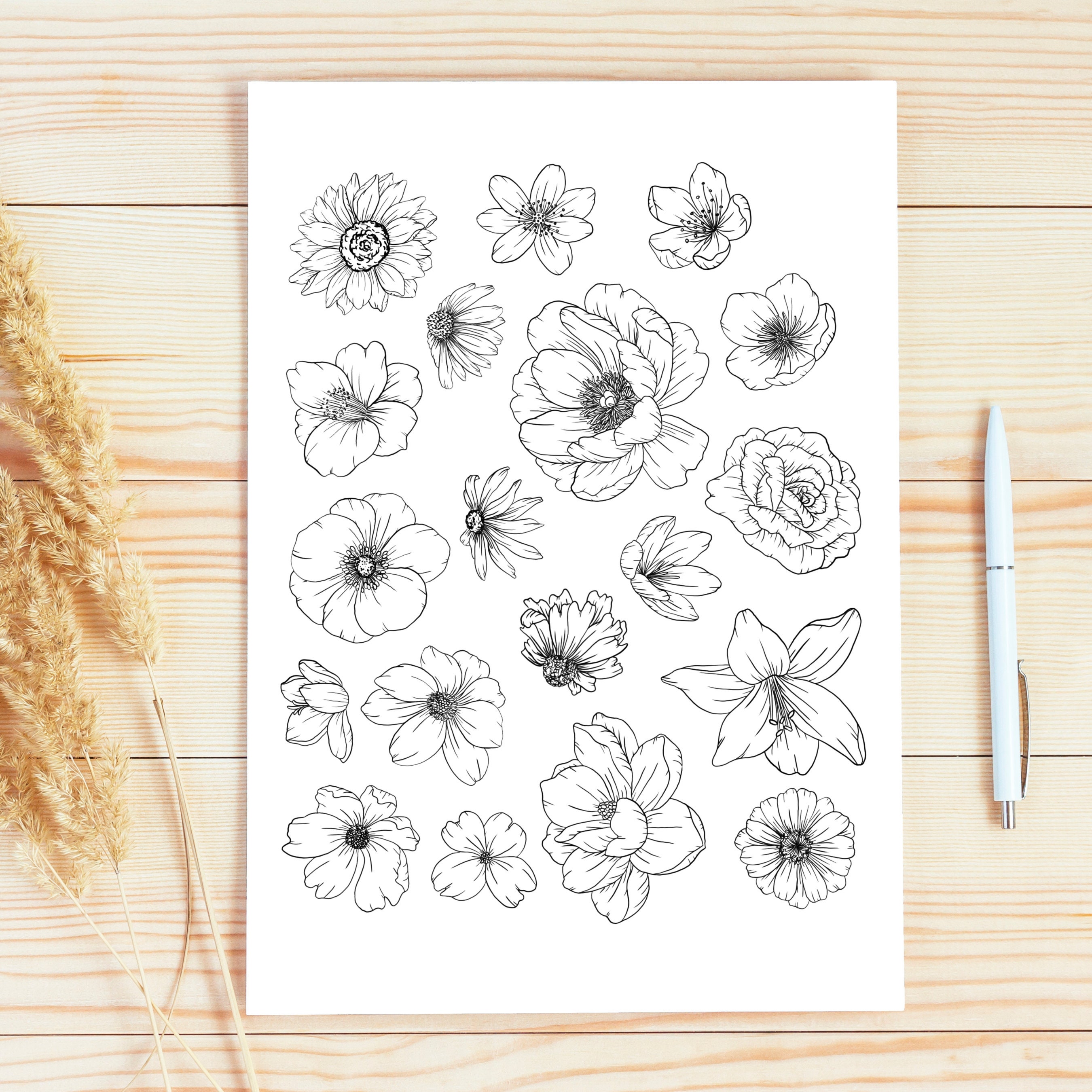 Flower Tracing Guide Learn to Draw Flowers Tracing Project - Etsy
