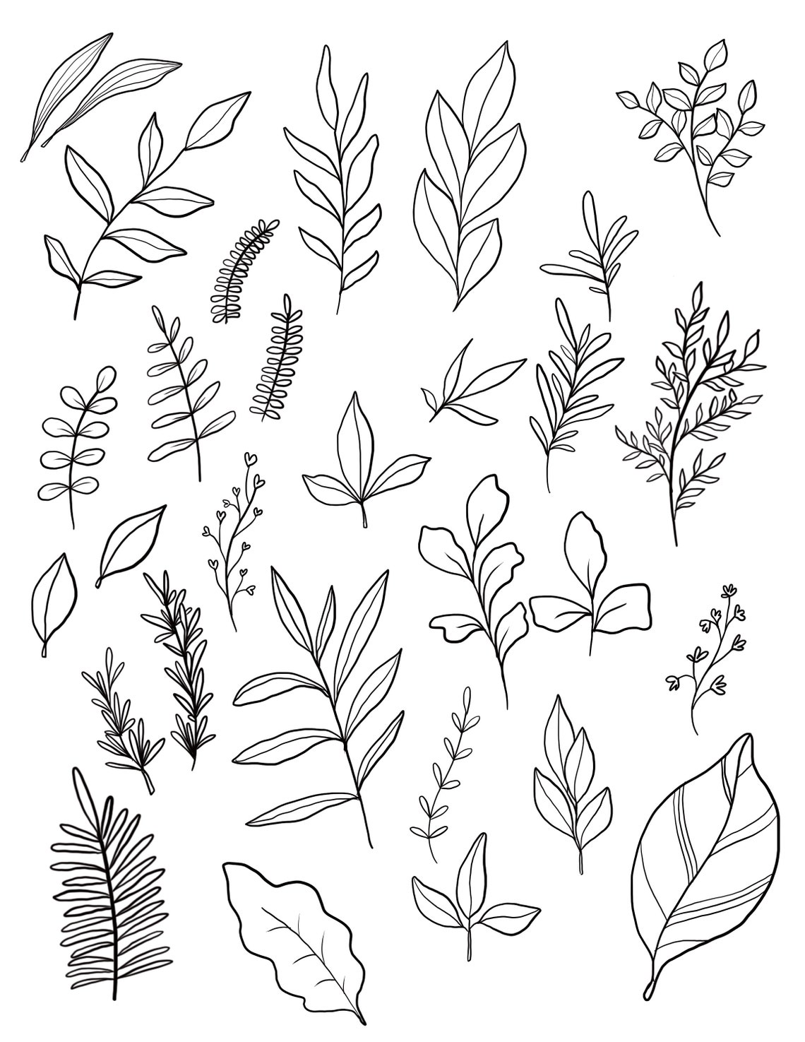 Flower LEAF Tracing Guide Learn to Draw Leaves Tracing - Etsy