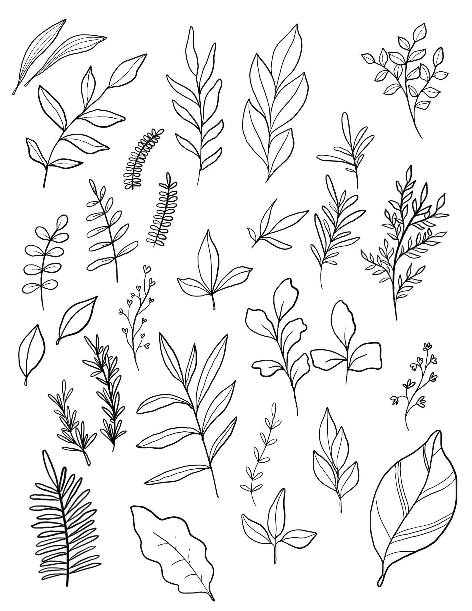 Flower LEAF Tracing Guide Learn to Draw Leaves Tracing - Etsy