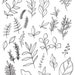 Flower LEAF Tracing Guide Learn to Draw Leaves Tracing - Etsy