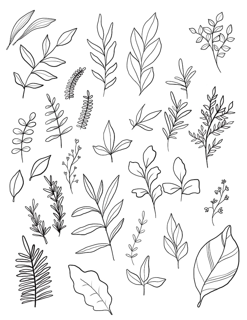 Flower LEAF Tracing Guide Learn to Draw Leaves Tracing - Etsy