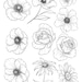 Flower Tracing Guide, Learn to Draw Flowers, Tracing Project, DIGITAL ...