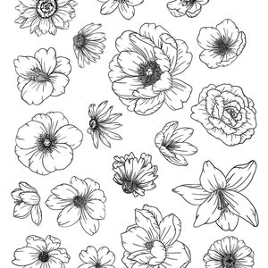 Flower Tracing Guide, Learn to Draw Flowers, Tracing Project, DIGITAL ...
