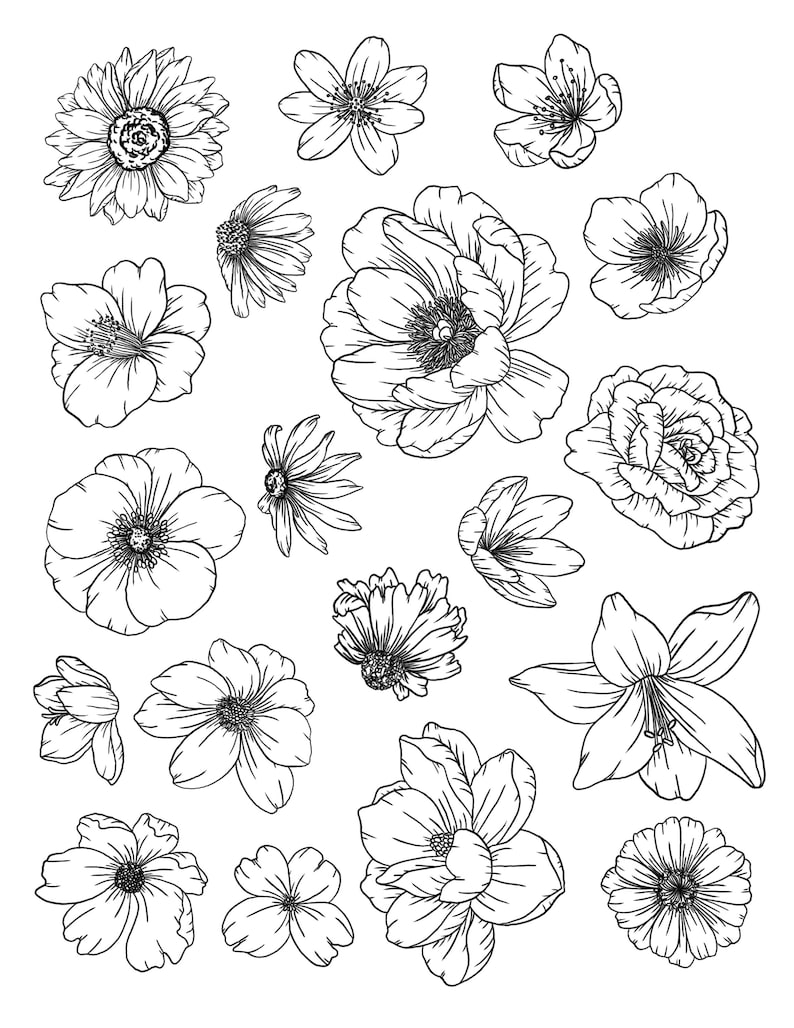 Flower Tracing Guide Learn to Draw Flowers Tracing Project - Etsy
