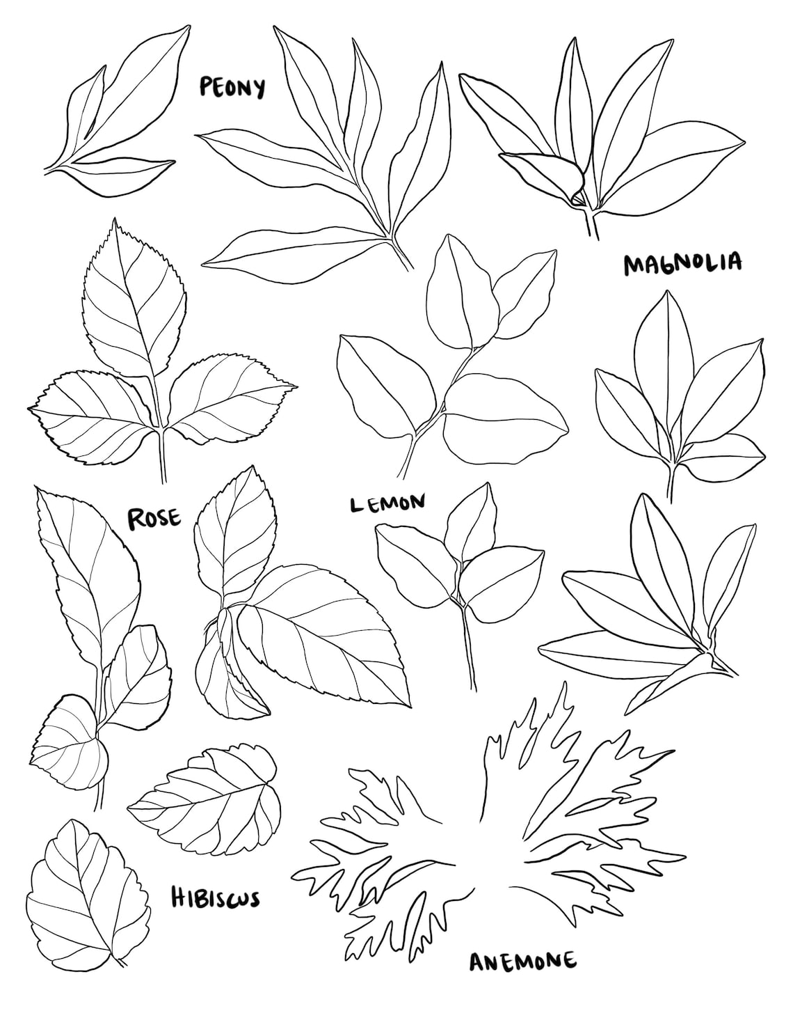 Flower LEAF Tracing Guide Learn to Draw Leaves Tracing - Etsy
