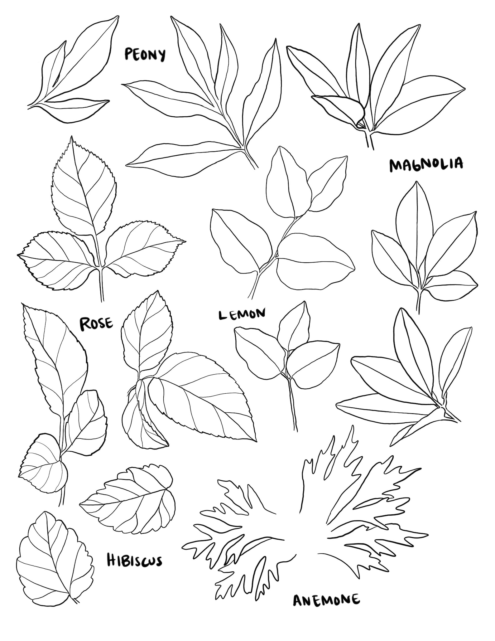 Flower LEAF Tracing Guide Learn to Draw Leaves Tracing - Etsy