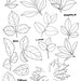 Flower LEAF Tracing Guide, Learn to Draw Leaves, Tracing Project ...