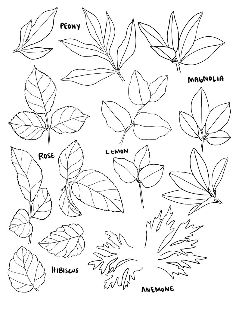 Flower LEAF Tracing Guide Learn to Draw Leaves Tracing - Etsy