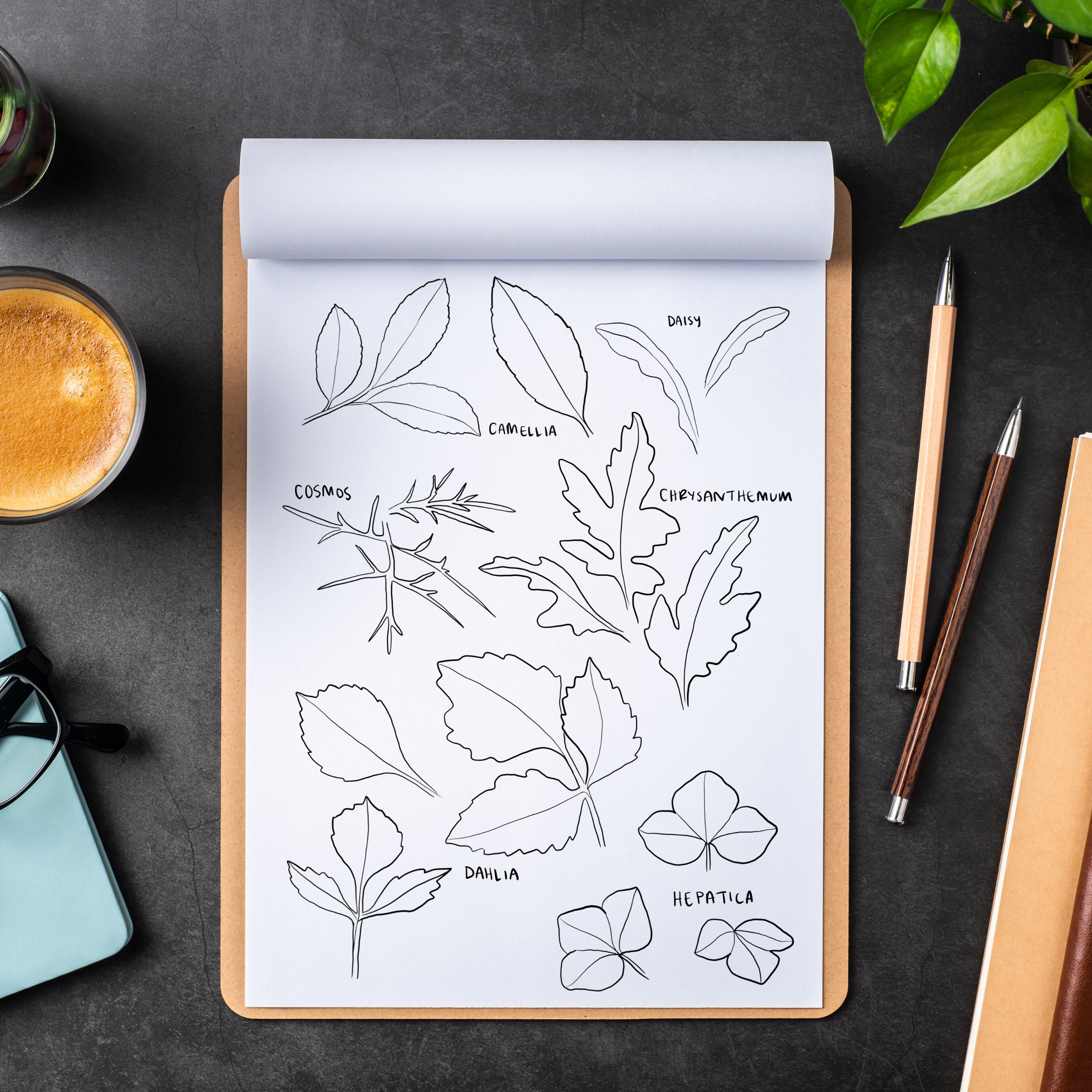 Flower LEAF Tracing Guide Learn to Draw Leaves Tracing - Etsy