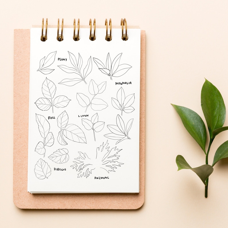 Flower LEAF Tracing Guide Learn to Draw Leaves Tracing - Etsy
