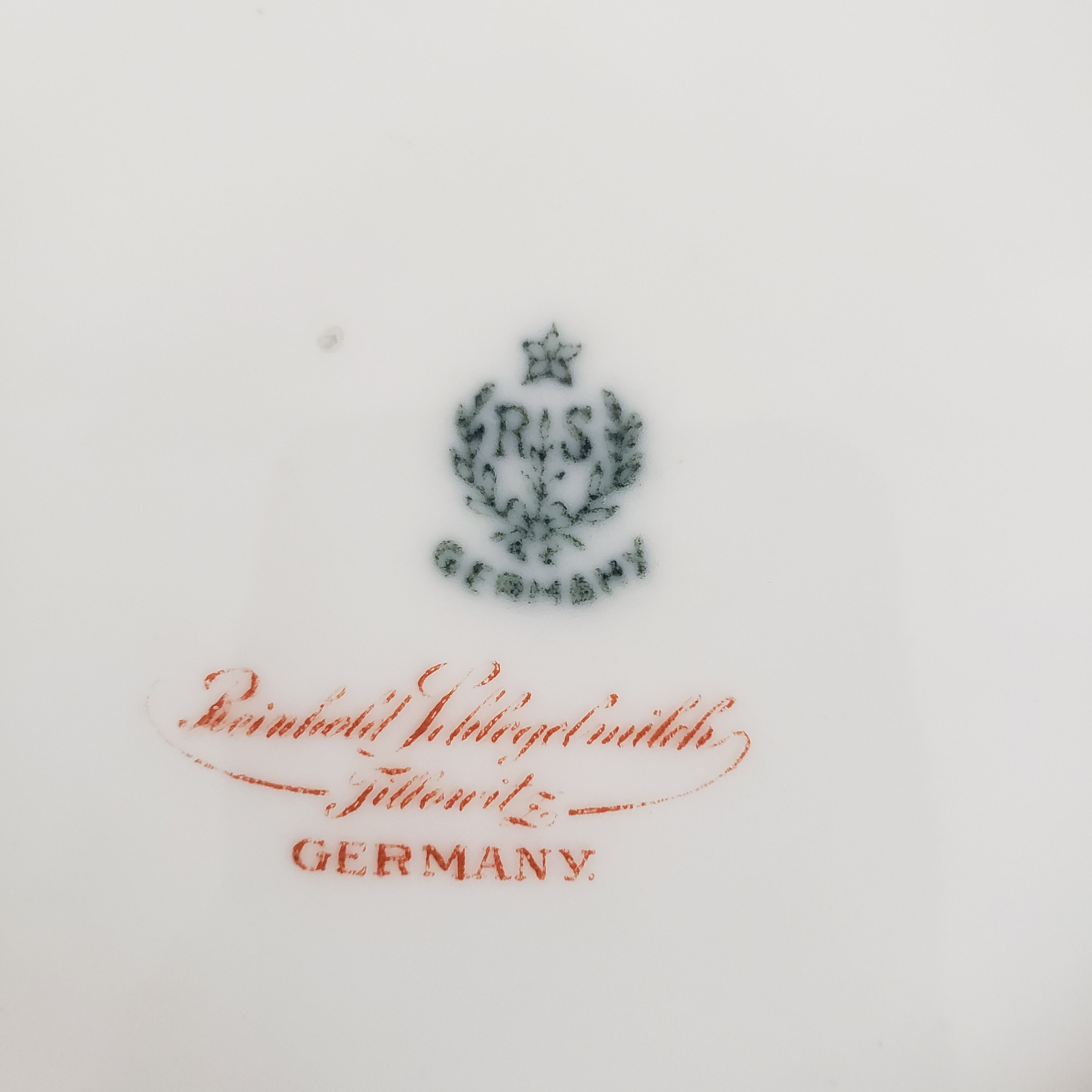 Antique RS Germany Hand Painted Orchid Plate Tillowicz - Etsy