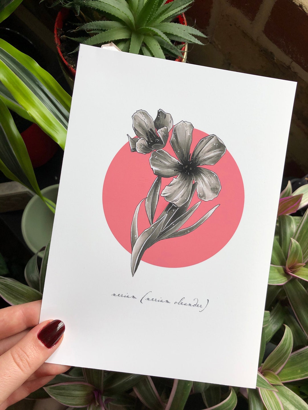 Poisonous Plants Nerium A5 Giclée Print - Etsy