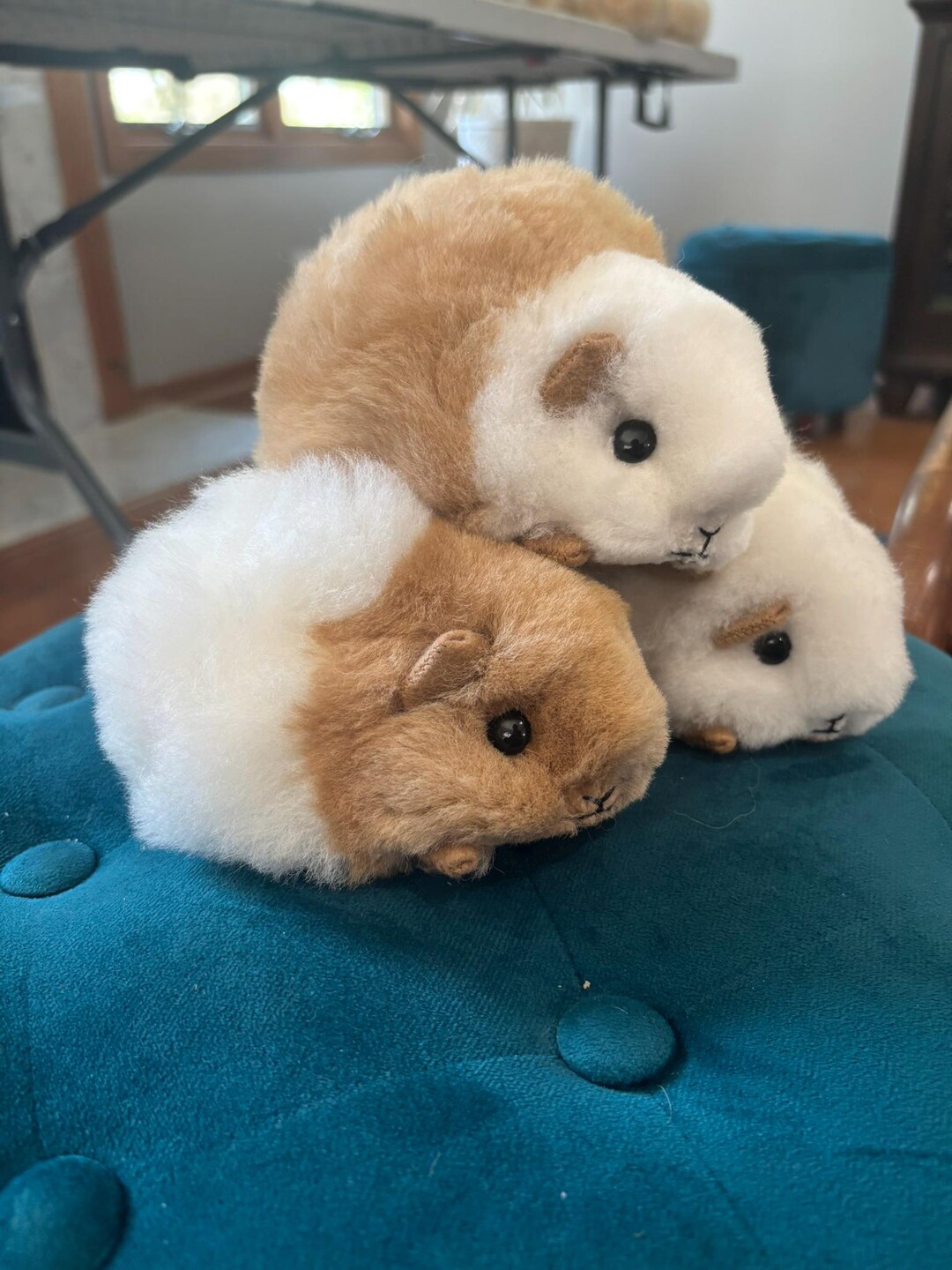 Alpaca Guinea Pig - Etsy