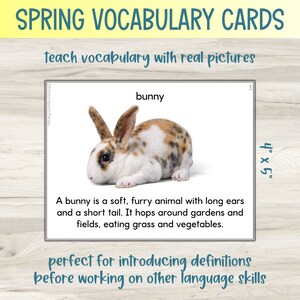 Printable Spring Vocabulary Cards | Definition Matching | Speech ...