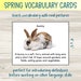Printable Spring Vocabulary Cards | Definition Matching | Speech ...