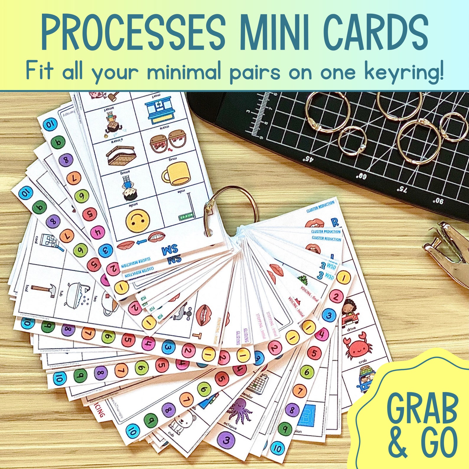 Printable Minimal Pairs Picture Cards | Mini Phonological Processes ...