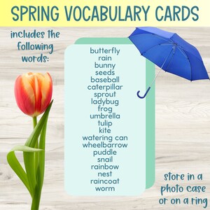 Printable Spring Vocabulary Cards | Definition Matching | Speech ...