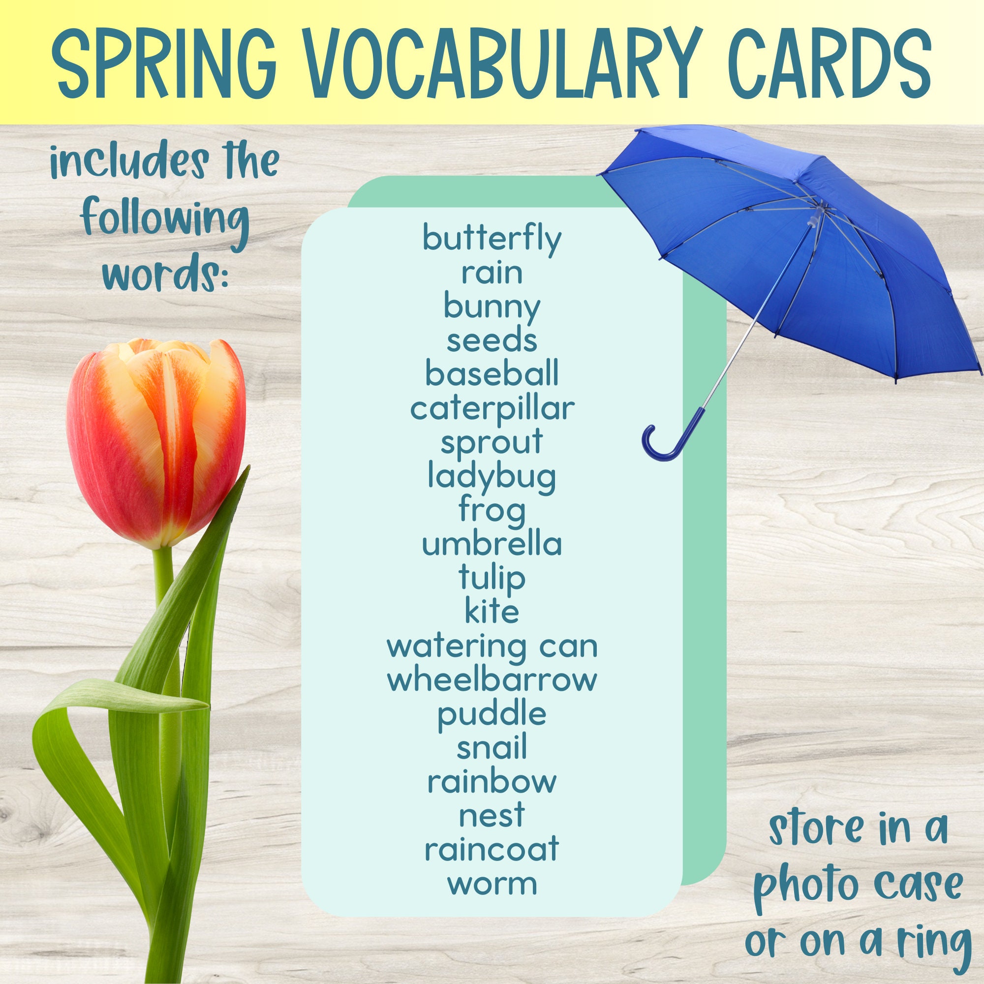 Printable Spring Vocabulary Cards | Definition Matching | Speech ...