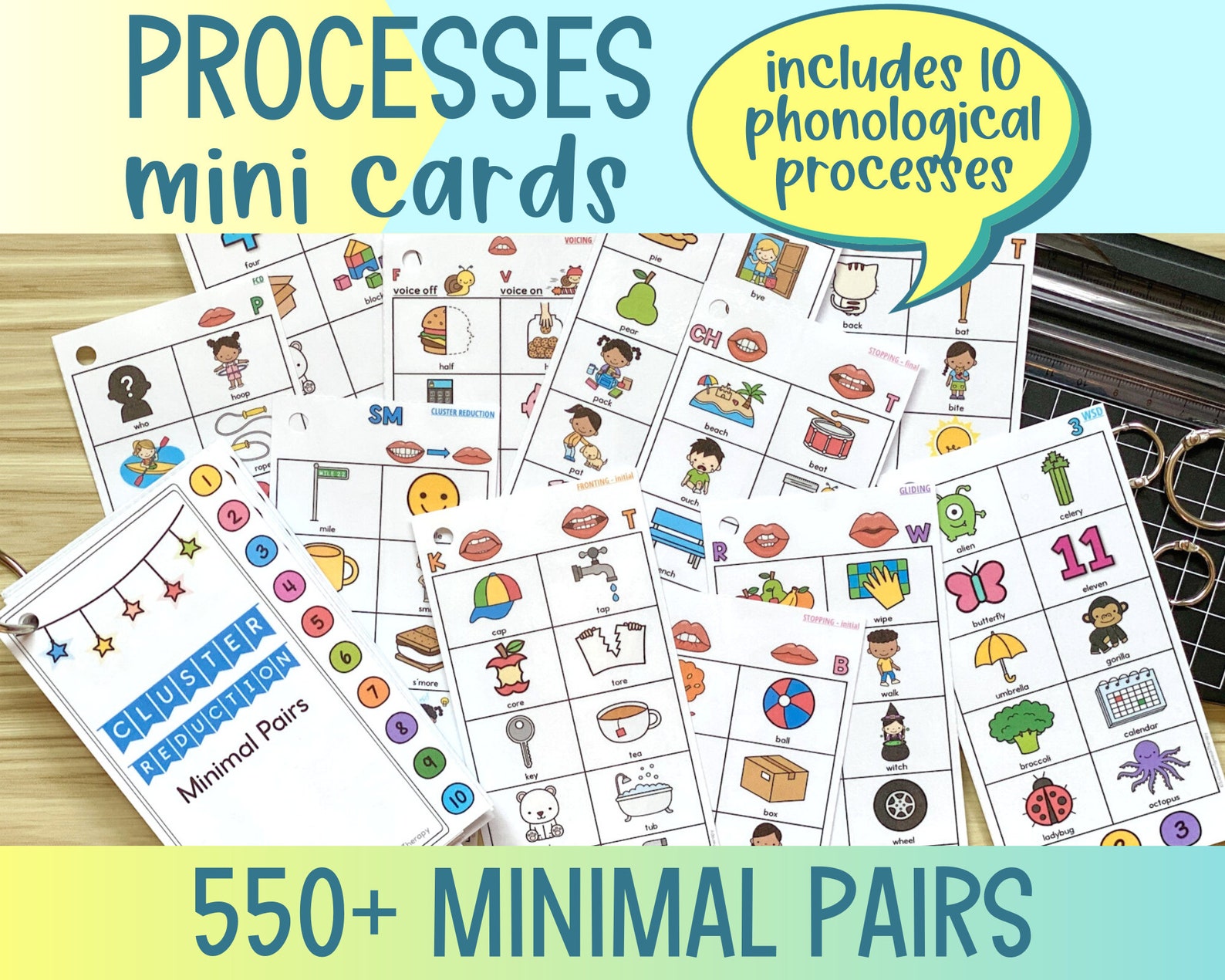 Printable Minimal Pairs Picture Cards | Mini Phonological Processes ...