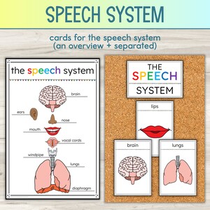 Printable Speech System Visuals for Speech Therapy | Speech Room ...