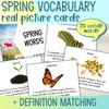 Printable Z Sound Articulation Flashcards | Speech Therapy ...