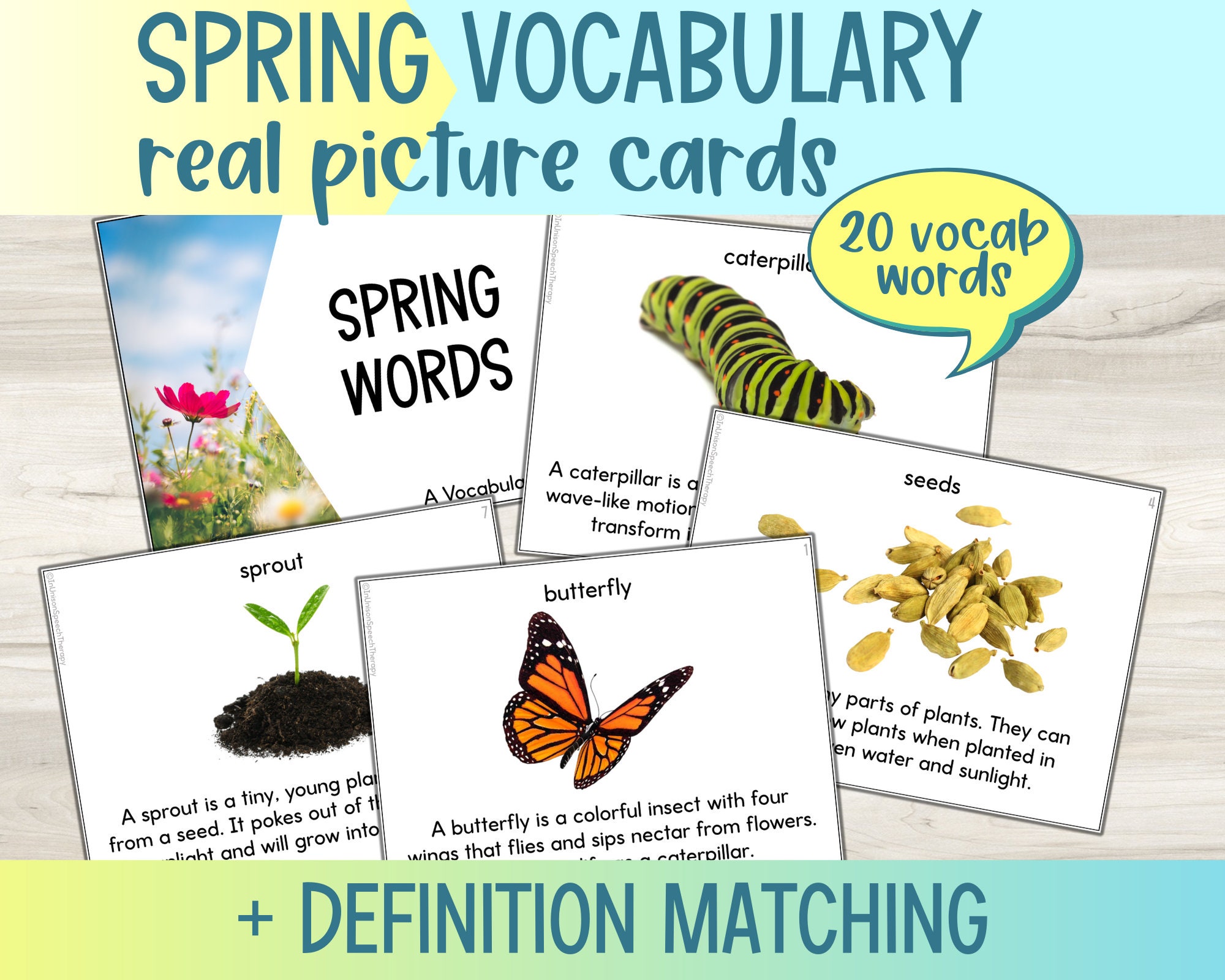 Printable Spring Vocabulary Cards | Definition Matching | Speech ...