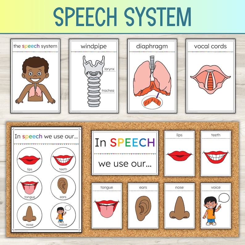 Printable Speech System Visuals for Speech Therapy | Speech Room ...
