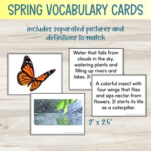 Printable Spring Vocabulary Cards | Definition Matching | Speech ...