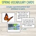 Printable Spring Vocabulary Cards | Definition Matching | Speech ...