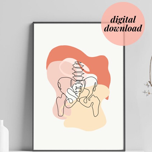Pelvis Printable Updated Pelvic Bone Line Art Anatomy | Etsy