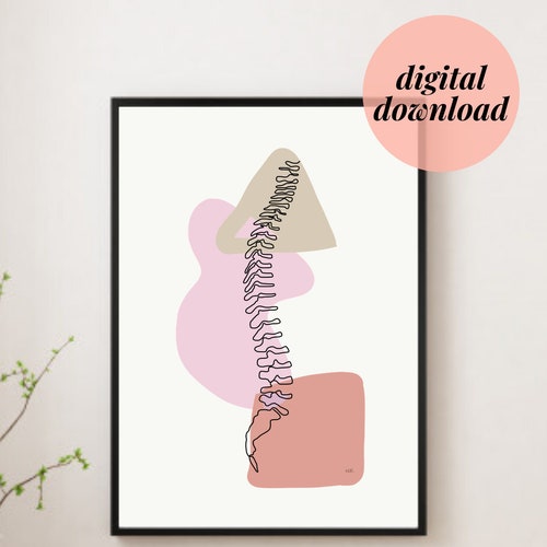 Full Spine Front View Spinal Column Line Anatomy Drawing - Etsy