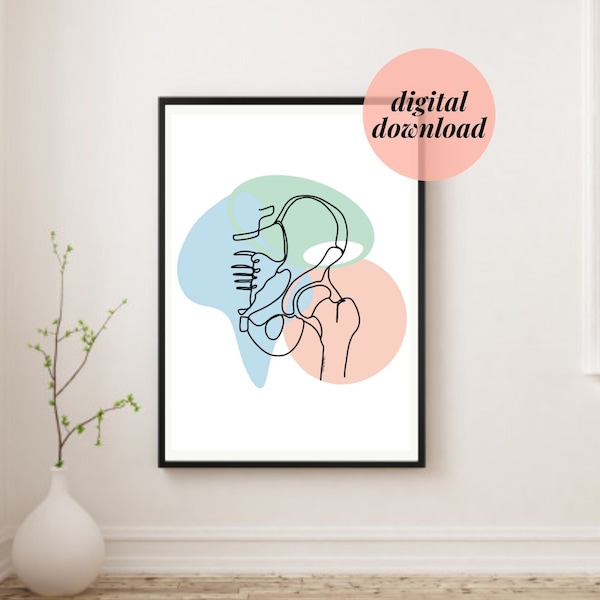 Printable Pelvis Anatomy - Etsy