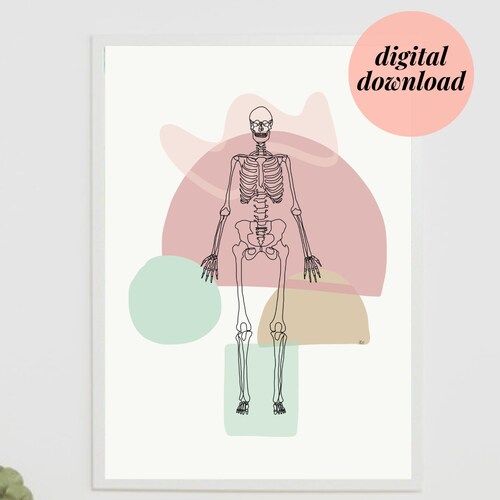 Skeleton Bones Full Skeletal Line Art Anatomy Drawing - Etsy