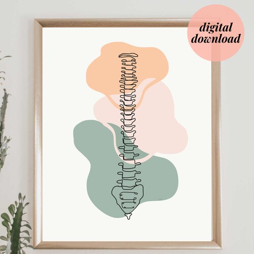 Full Spine Front View Spinal Column Line Anatomy Drawing - Etsy Canada