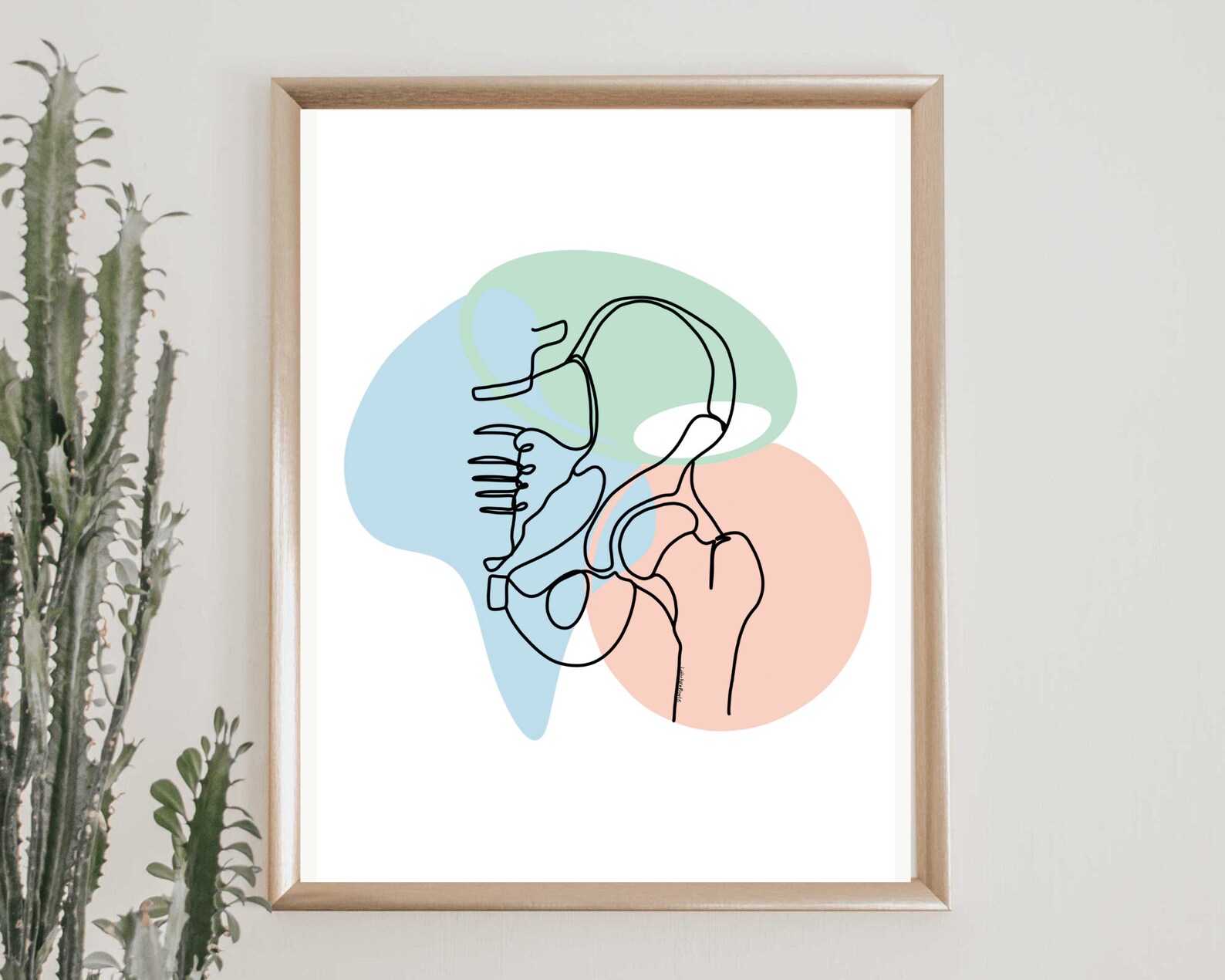 Half Pelvis Printable Pelvic Bone Line Art Anatomy Illustration ...