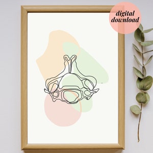 Cervical Spine Vertebra Bone | Line Art | Anatomy Drawing | Minimalist ...