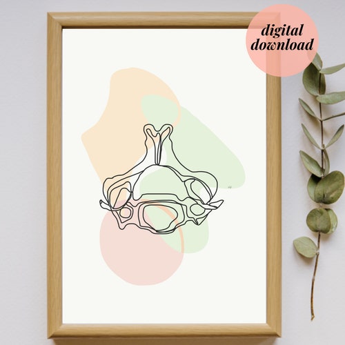 Cervical Spine Vertebra Bone Line Art Anatomy Drawing - Etsy